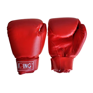 Sportska oprema za boks | Akcija, Vrhunski kvalitet | Jakov.RS