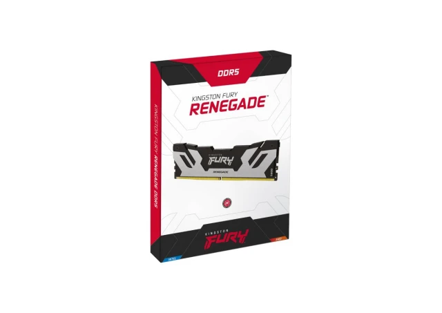 KINGSTON DIMM DDR5 24GB 6400MT/s KF564C32RS-24 FURY Renegade Silver ...