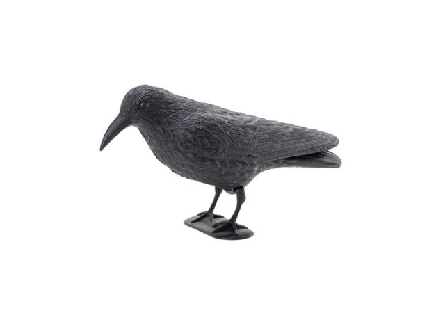 Strašilo za ptice i štetočine Gavran 38cm - Cena, Specifikacije i ...